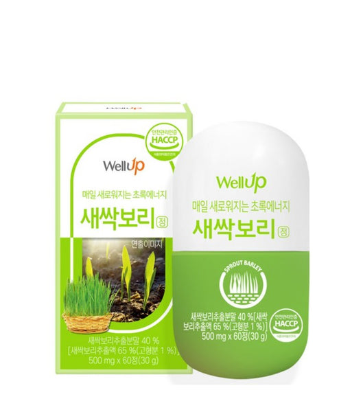 [RAWEL] Barley Grass Tablet (2Month Supply) | The best Health ...